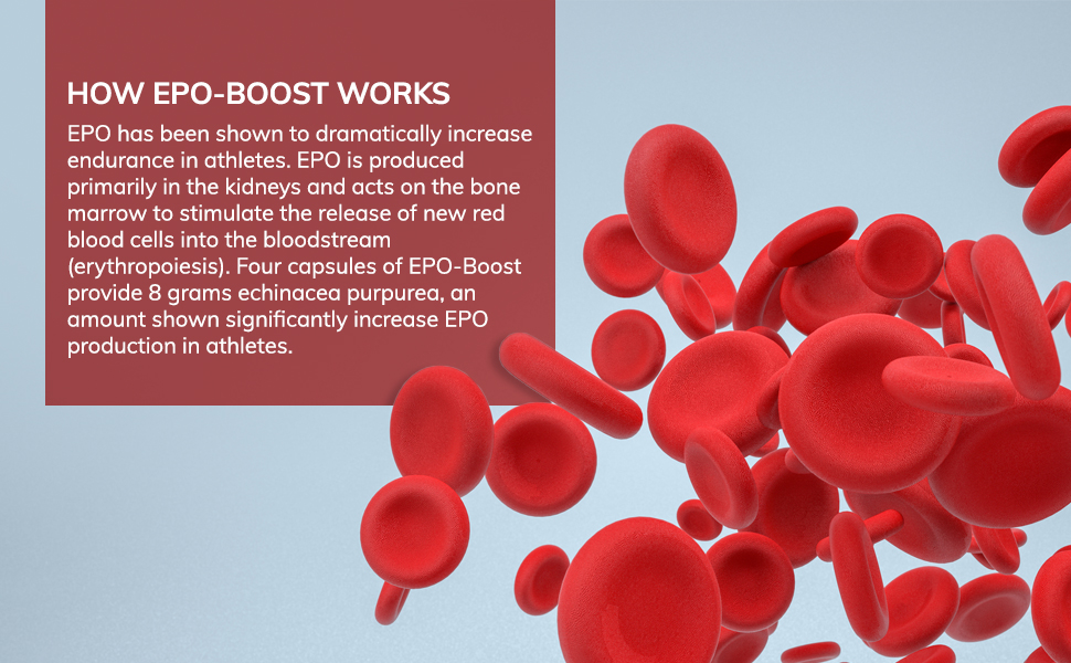 Purchase EPO Online for Enhanced Red Blood Cell Production - Saijitech ...