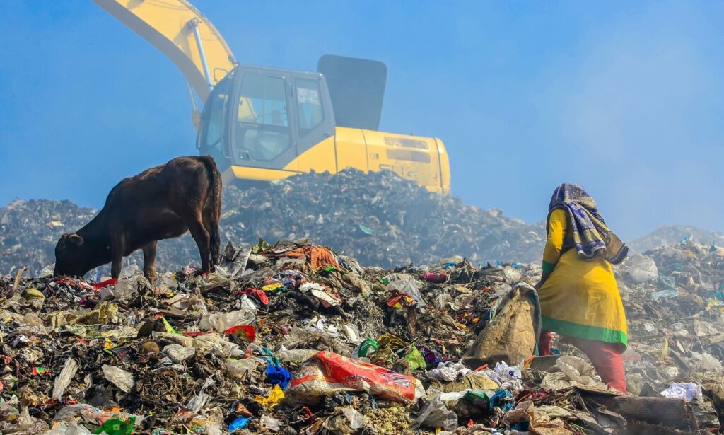 How Businesses Transition to a Zero Waste Model - Saijitech Company